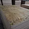Treated plywood 4x8 sheets 3/4 inch supplier manufacturer